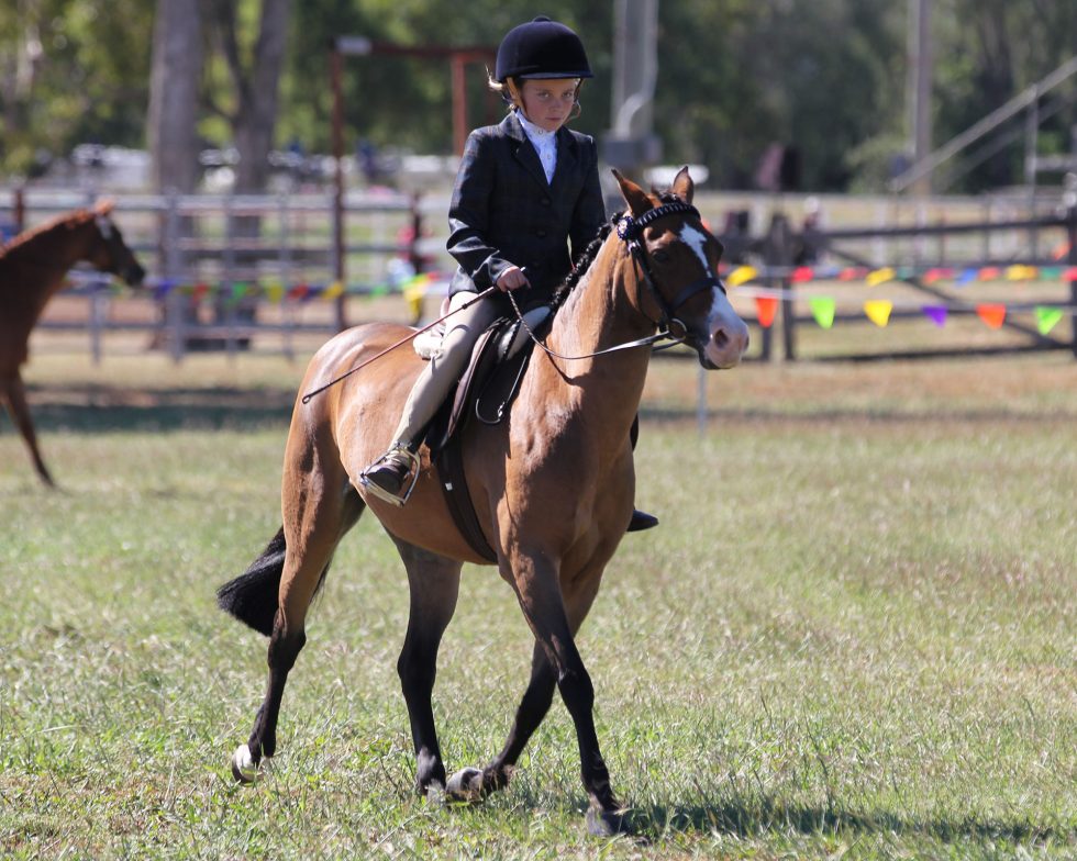2023 Callide Valley Show Show | Fun for the whole family!